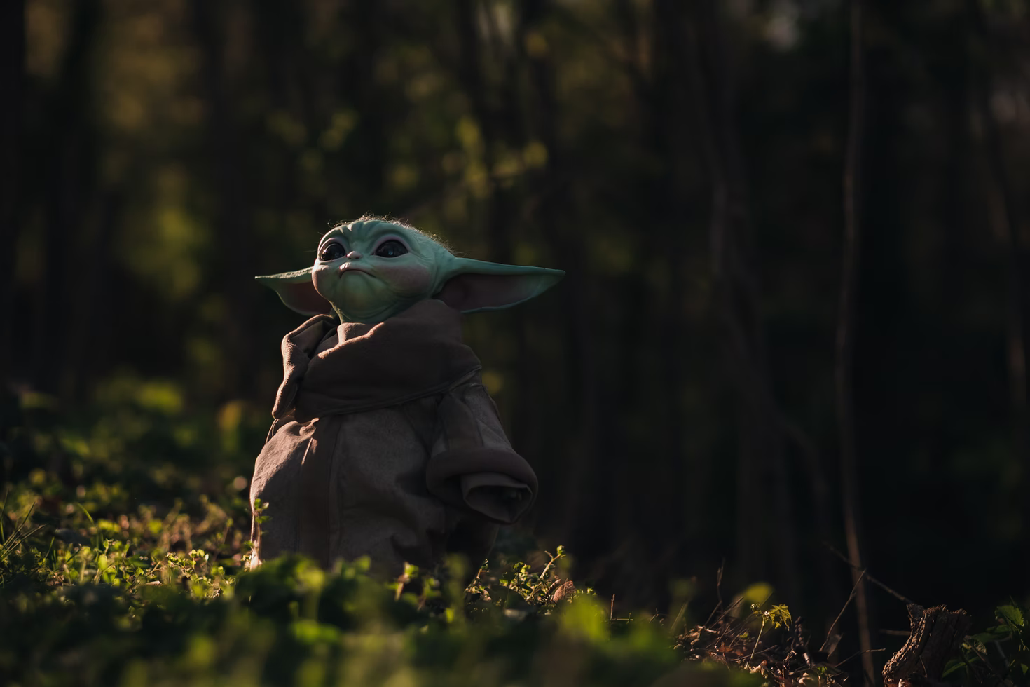 Everything We Know About Grogu (Baby Yoda) – StarShips.com
