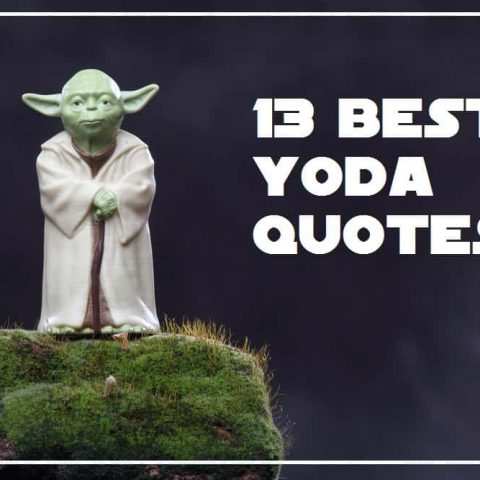 The 13 Absolutely Best Yoda Quotes (and Reasons) 2021 – StarShips